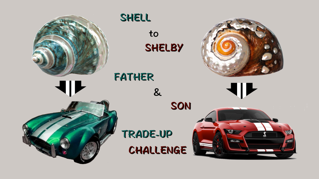 Shell –> Shelby